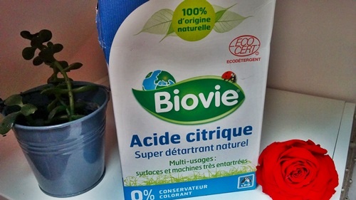 Zoom sur l'acide citrique - Organiser son quotidien