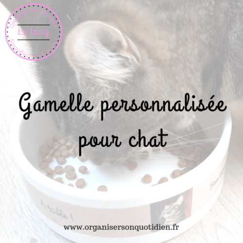 Une gamelle personnalisée pour mes chats - Organiser son quotidien